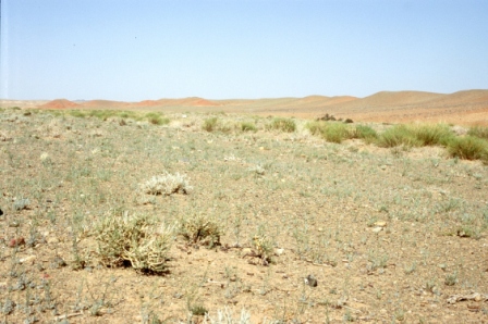 MARTEDI' 05 07 - DA GOBIIN ANAR CAMP ALLA CONQUISTA DELLE DUNE DI ...