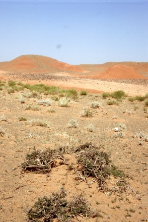 MARTEDI' 05 07 - DA GOBIIN ANAR CAMP ALLA CONQUISTA DELLE DUNE DI ...