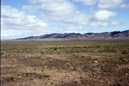 MARTEDI' 05 07 - DA GOBIIN ANAR CAMP ALLA CONQUISTA DELLE DUNE DI ...