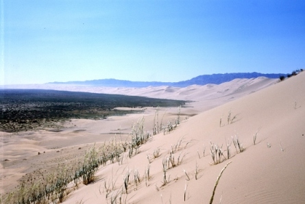 MARTEDI' 05 07 - DA GOBIIN ANAR CAMP ALLA CONQUISTA DELLE DUNE DI ...