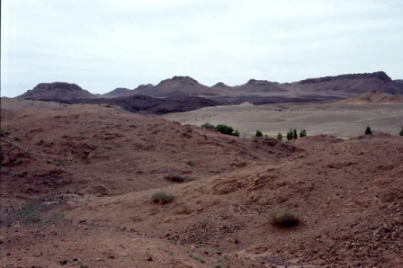 LUNEDI' 04 07 - DA SAIKHAN OVOO CAMP A GOBIIN ANAR CAMP - Gamberetta