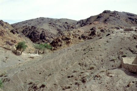 LUNEDI' 04 07 - DA SAIKHAN OVOO CAMP A GOBIIN ANAR CAMP - Gamberetta