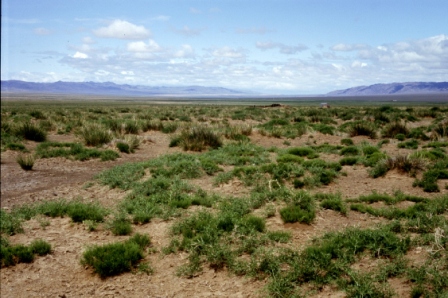 MERCOLEDI' 06 07 - DA GOBIIN ANAR CAMP A GOBI TOUR CAMP - Gamberetta