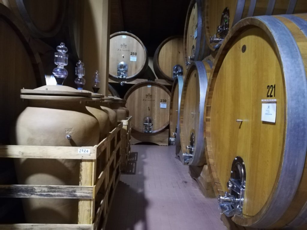 ZENATO WINERY: L'ANIMA DEL LUGANA E IL CUORE DELLA VALPOLICELLA ...