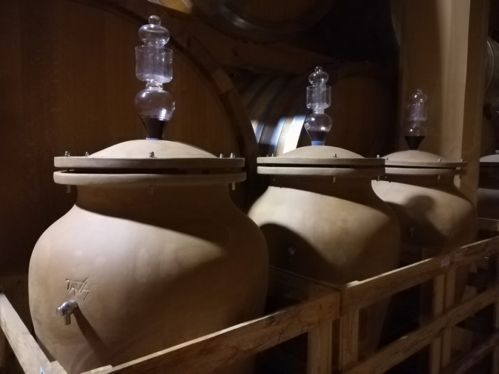 ZENATO WINERY: L'ANIMA DEL LUGANA E IL CUORE DELLA VALPOLICELLA ...