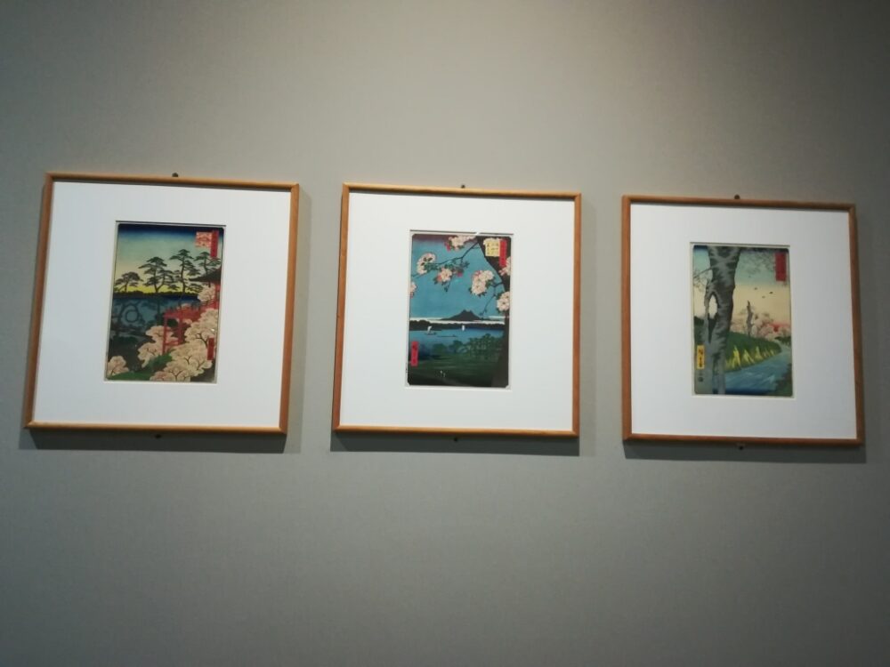 CINQUE MUSEI E MOSTRE DA VISITARE A PADOVA E PROVINCIA - Gamberetta